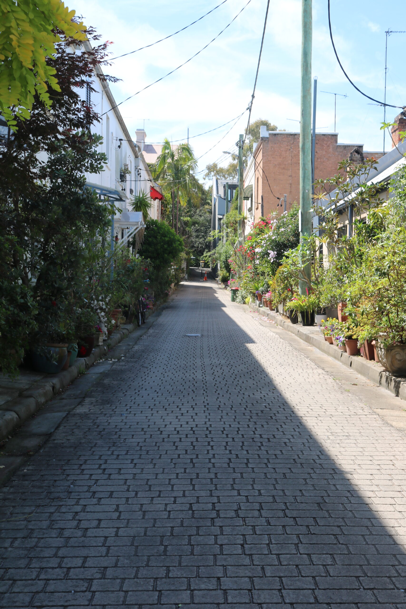 Fieldwork Report: Insights from Sydney’s Alleyway Revitalization ...